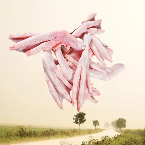 Fresh Duck Feet | YSH Farm