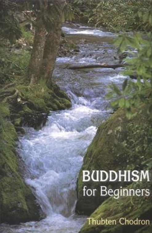 Buddhism for Beginners | Wildlight Yoga