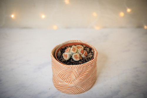 Lithops Cluster | Node