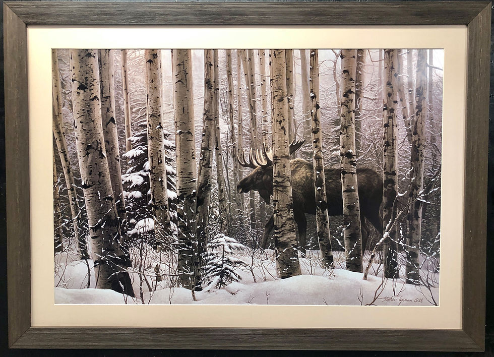 Stephen Lyman "A Walk in the Woods" FRAMED Art Nature Wildlife Moose ...