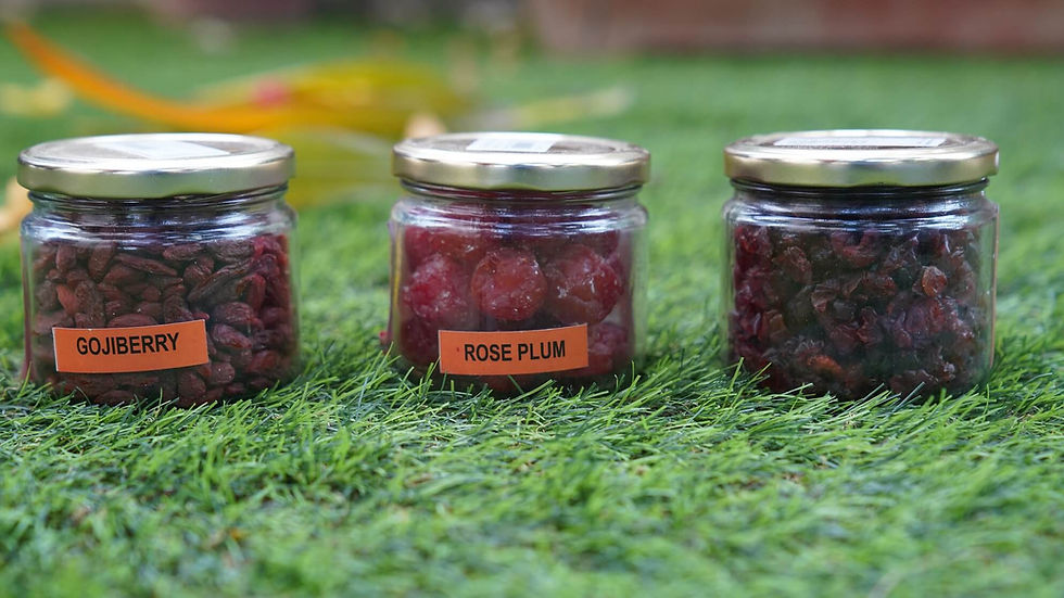 Nuts & Berries | Azaya Organic