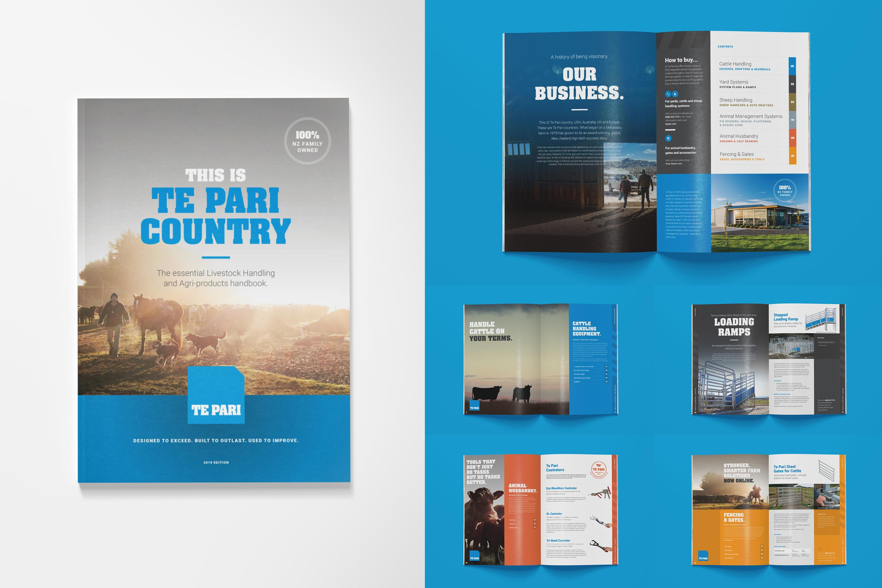 TE PARI BRAND EVOLUTION | Hot Mustard