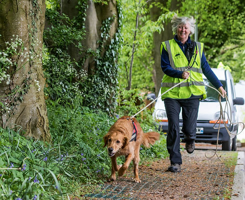 Mantrailing Global | Certified Mantrailing Instructor Training