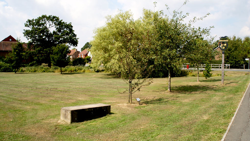 Plumpton Village Hall | Plumpton Green is a village in East Sussex, England