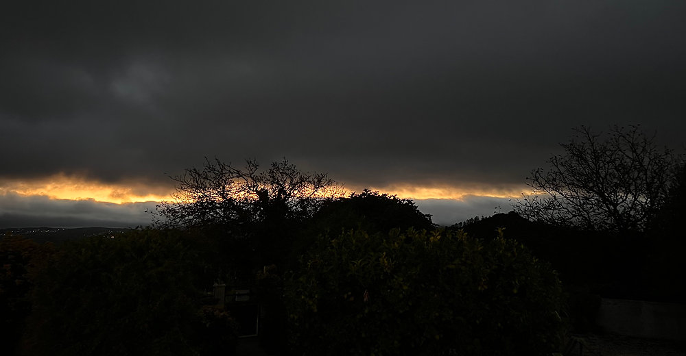 Leaves, Phone Calls, and the Land Grab Comes to Nyabira.