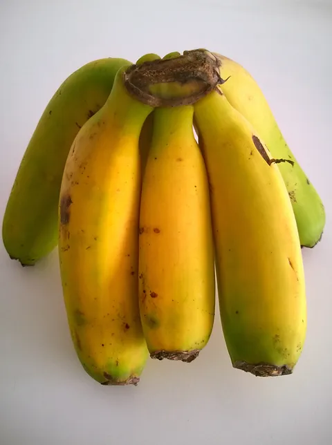 The Unknown Secrets of Madeira Bananas. Dr Jerry’s Eventful Trip to ...