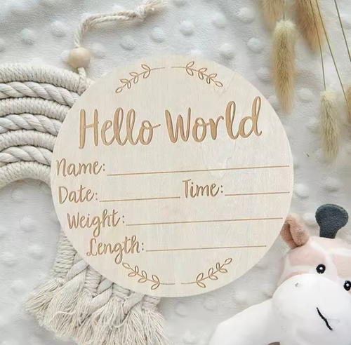 ‘HELLO WORLD’ ANNOUNCEMENT SIGN | Daisy Bears