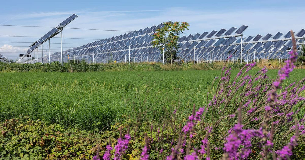 Agrivoltaics: Combining Agriculture And Solar Installations