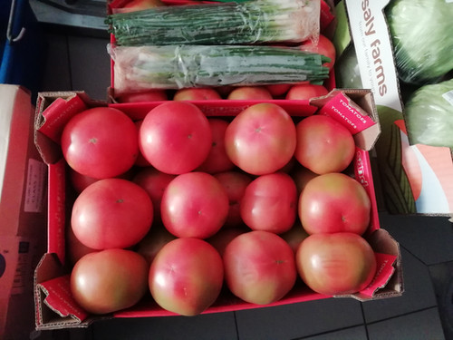 Large Tomatoes 9Kg | The Veggie Dealer