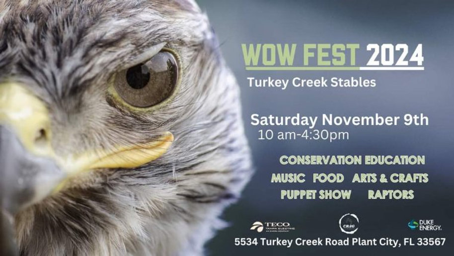 Raptor Center Wildlife Festival Nov. 9