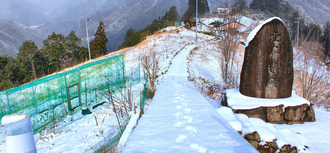 HOME | Immersive Tour Nara (experience tour, Nara,Japan)