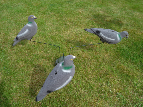 Pigeon Decoys - Crow Decoys - Goose Decoys, Durham Decoys