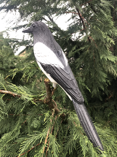 Flocked Magpie Decoy | durham-decoys