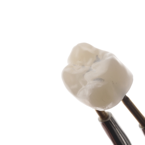 Provisionales de PMMA - Unidad | MeditekLabs