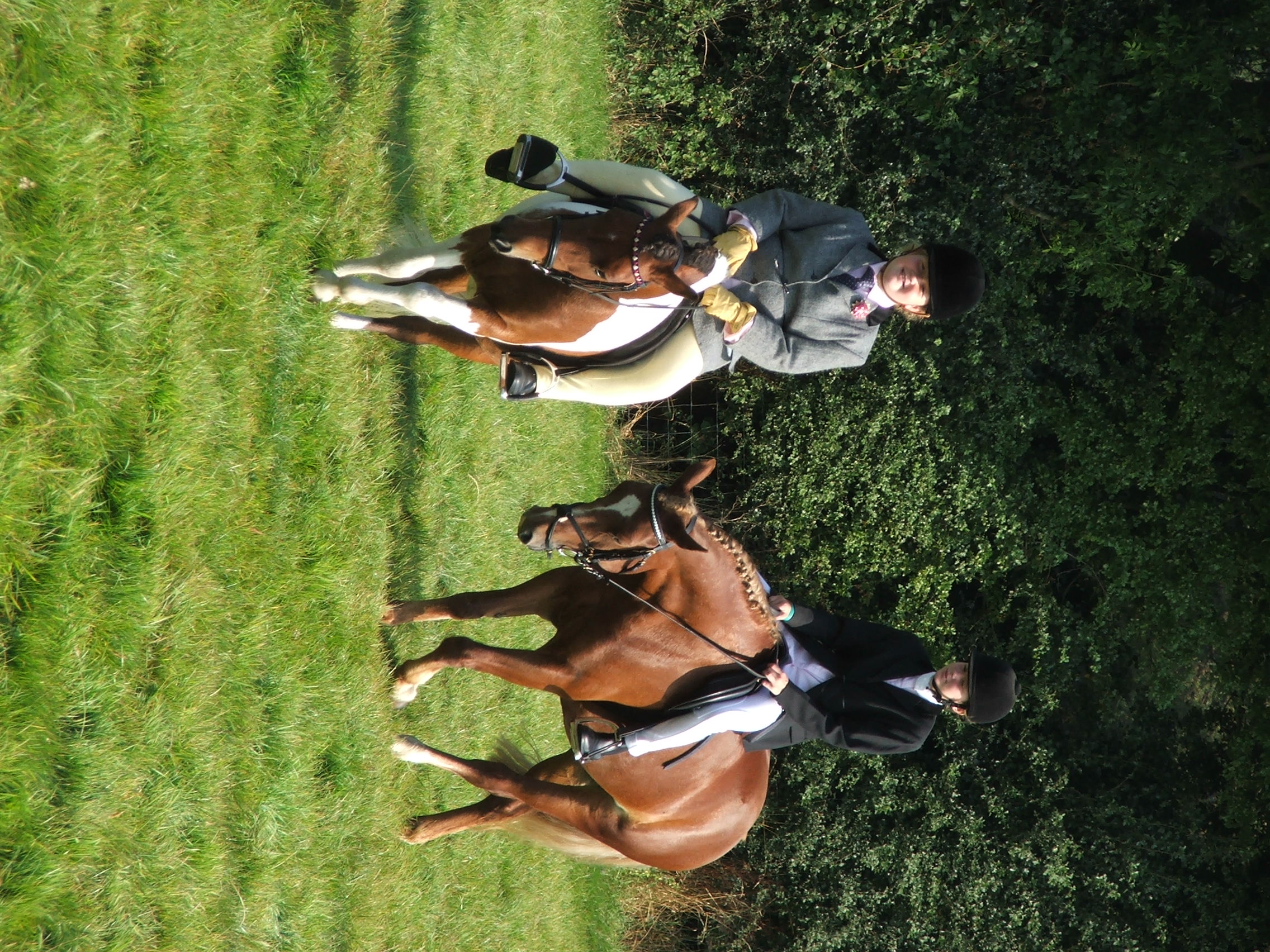 Galleries | nelsonpark