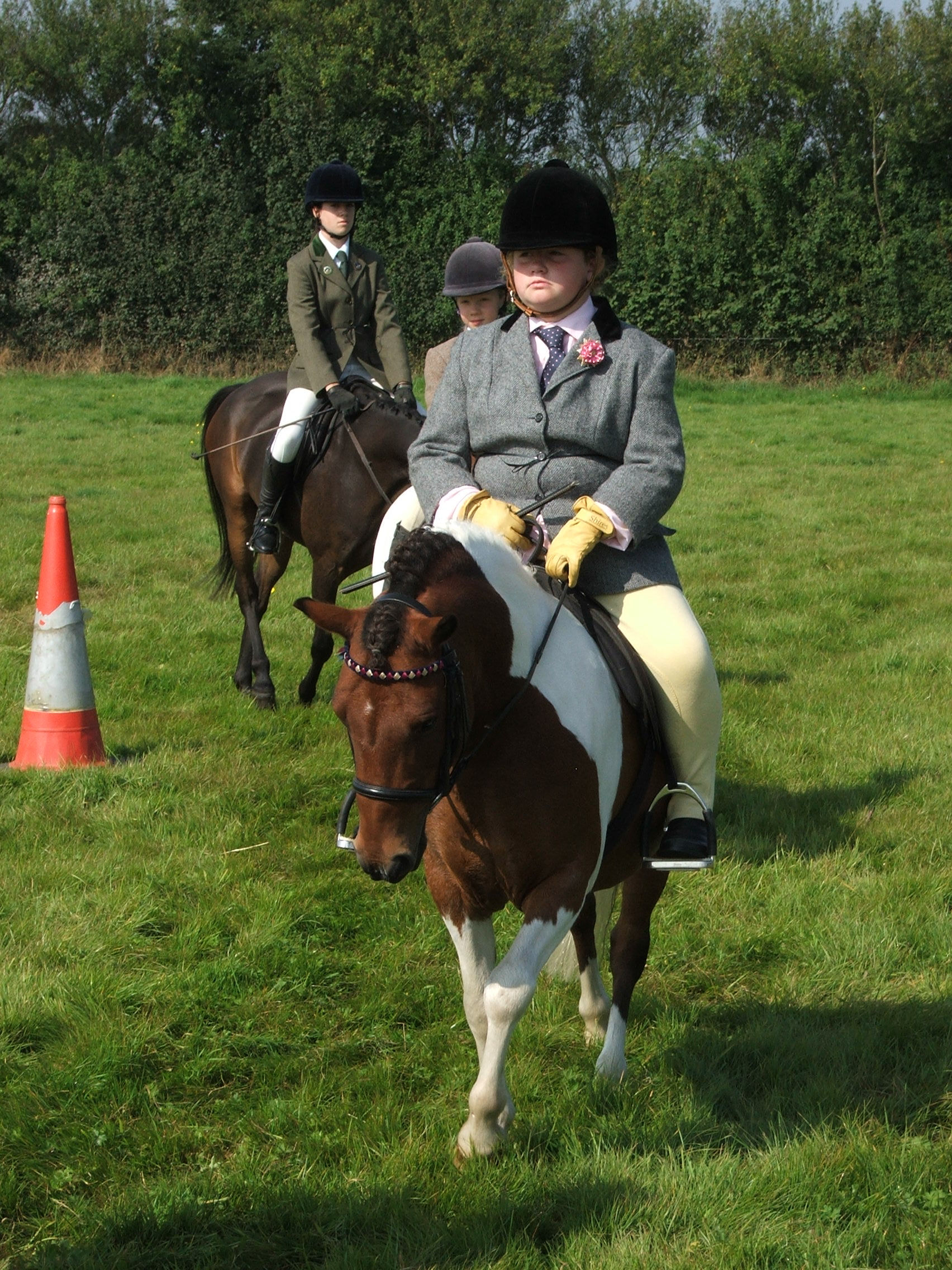 Galleries | nelsonpark