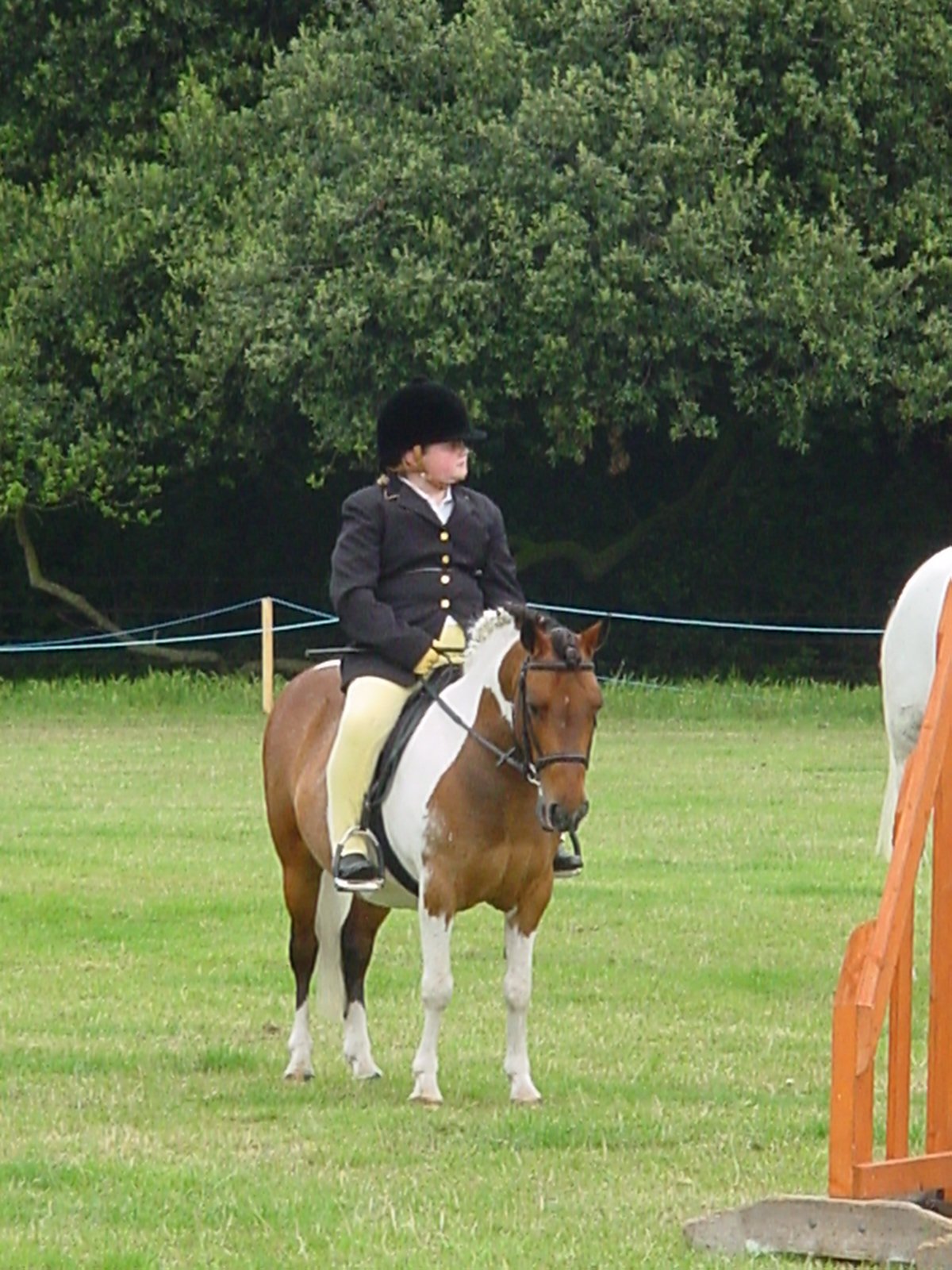 Galleries | nelsonpark