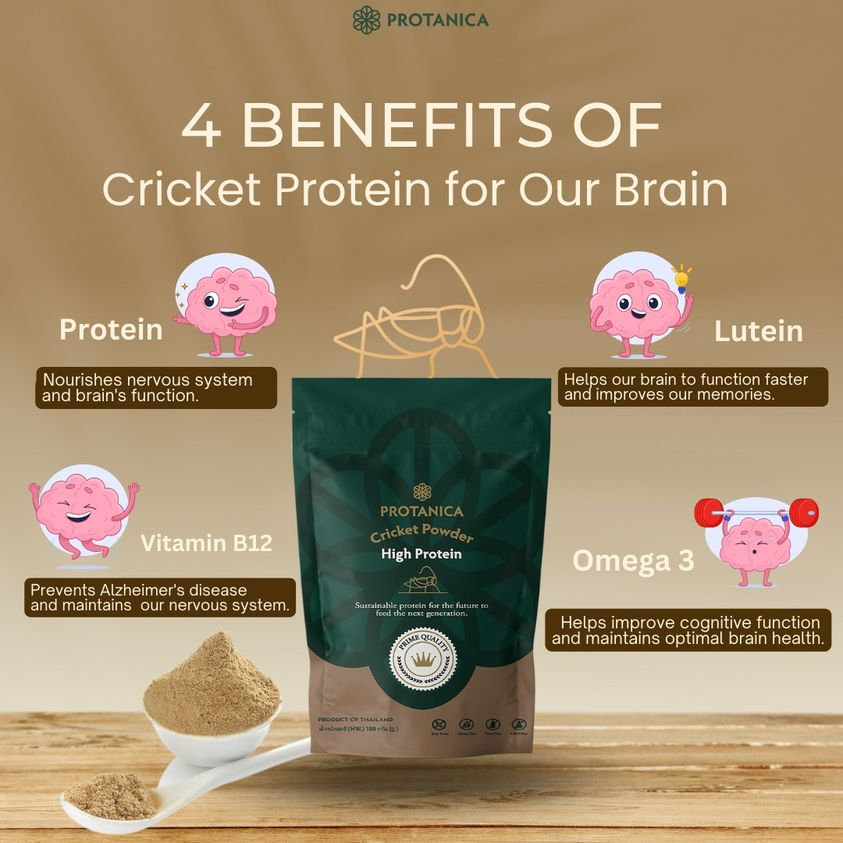 Cricket flour, Cricket as food, house cricket