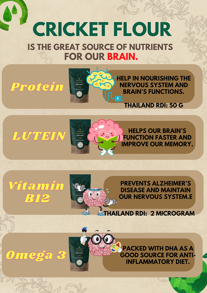 4 Benefits of cricket for brain