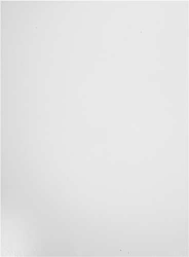 Blanco Brillo | La Bodega de la Cerá