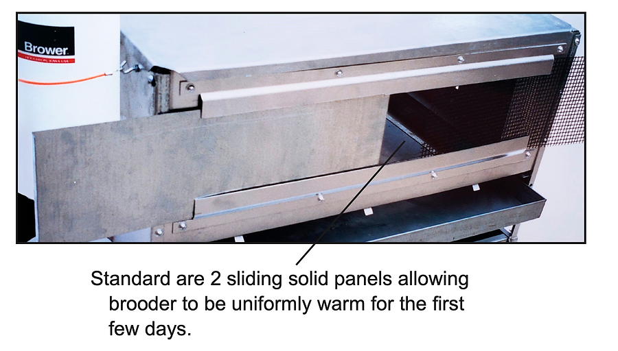 Chick & Quail Brooder- With Heater | Rogier Poultry