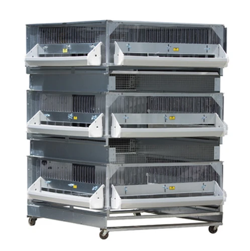 1 Brooder, 2 Expanded Grow Pens | Rogier Poultry