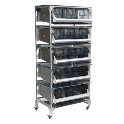 GQF Quail Breeding & Battery Brooder Pens | Rogier Poultry