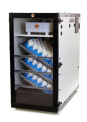 Clear Door for New Cabinet Incubators | Rogier Poultry