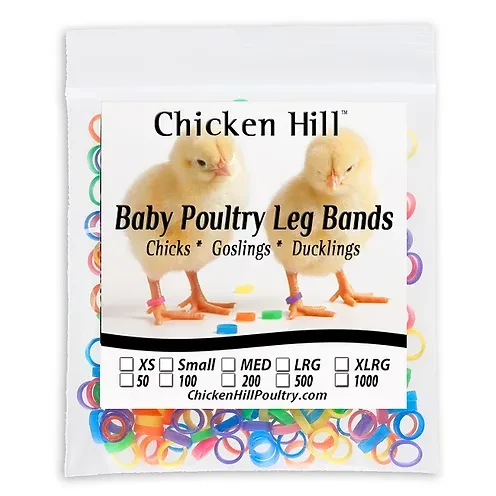 Baby Chick Leg Bands (Assorted Colors) | Rogier Poultry