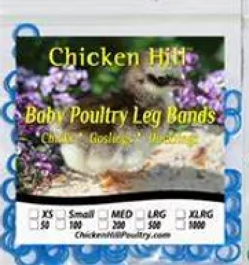 Baby Chick Bands (One Color per Pack, PK 100) | Rogier Poultry