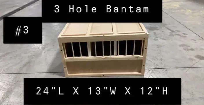 Wooden Transport Boxes | Rogier Poultry