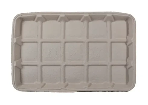Paper Chick Feed Tray | Rogier Poultry