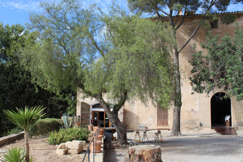 All Products | Studio Tina Graf