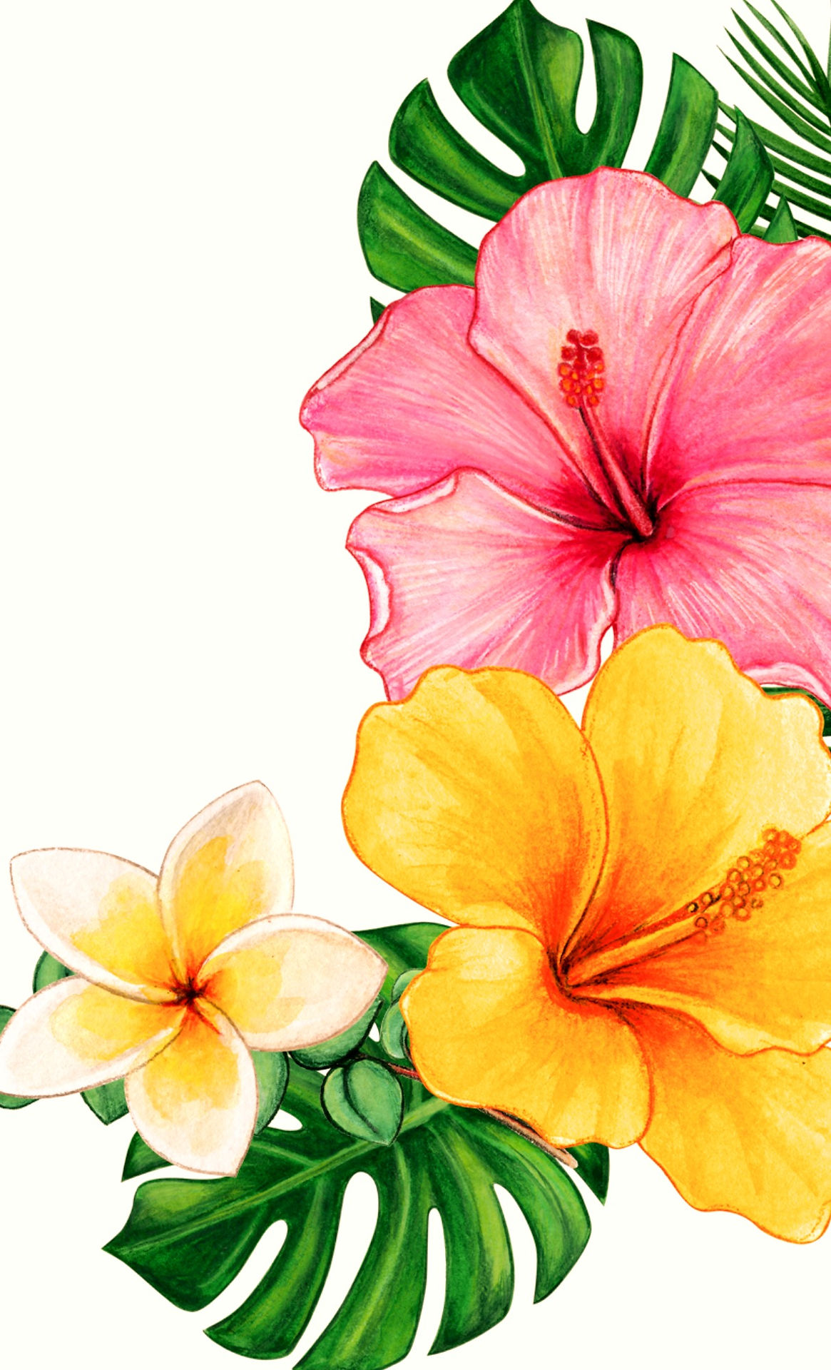 Menu | Ocean Beach CafeCafe Coffee Sandwich Shop w/ Vegan Avocado Wrap ...