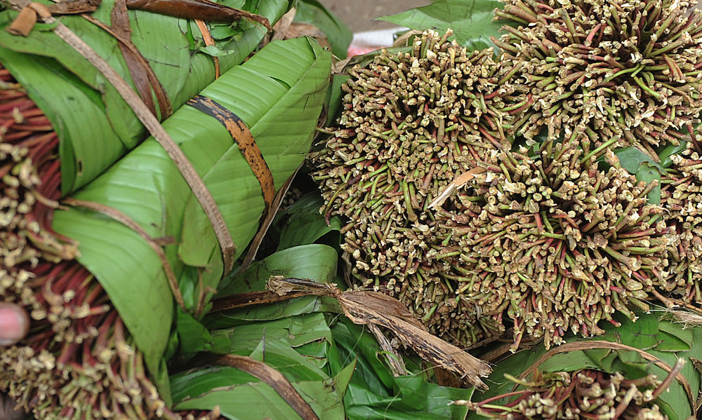 Khat: ¿Una nueva droga?