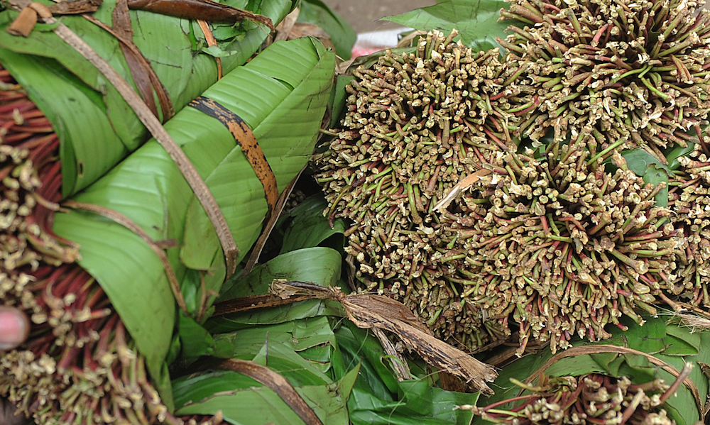 Khat: ¿Una nueva droga?