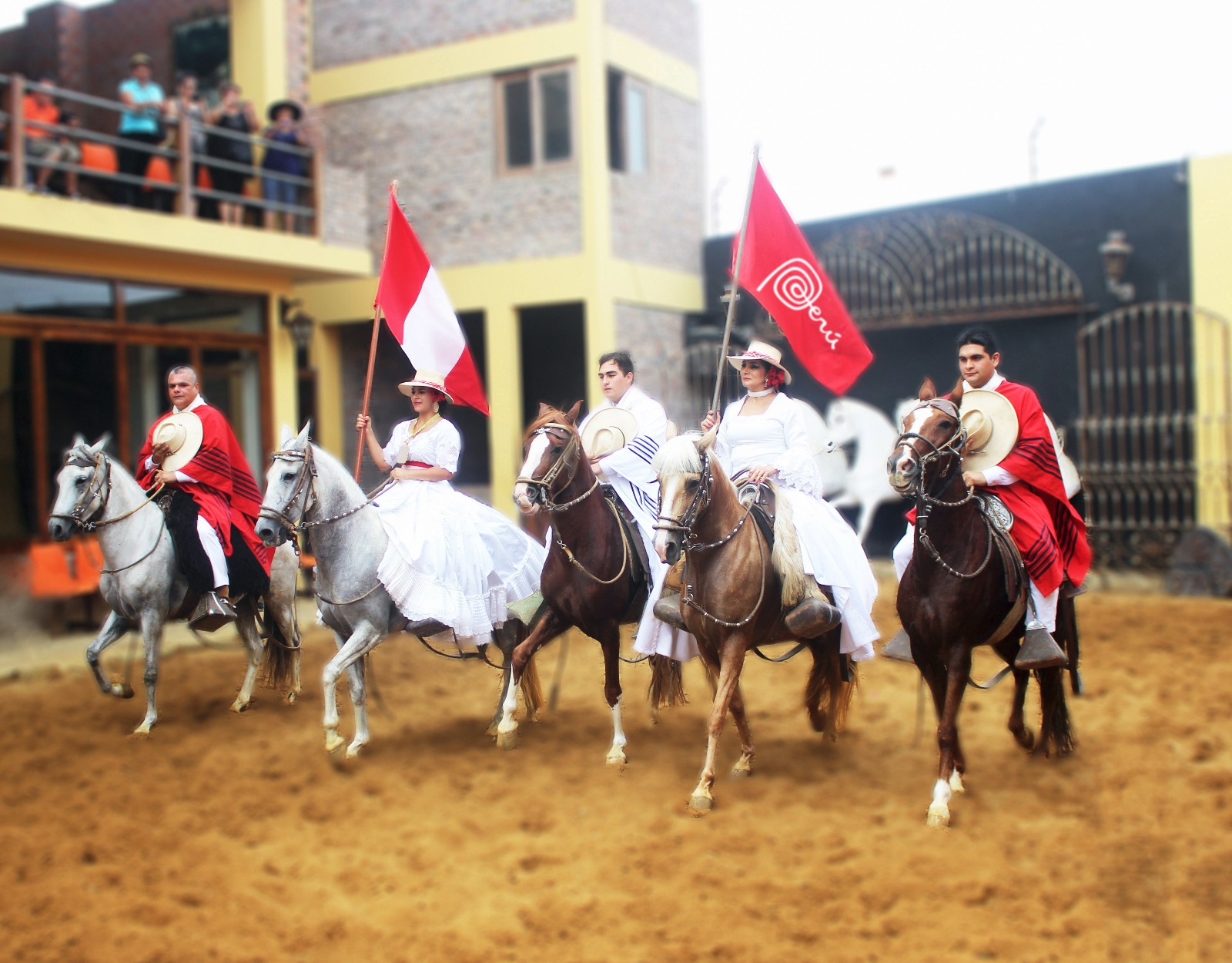 Show de Caballos de Paso | Lima | Dpaso Mamacona