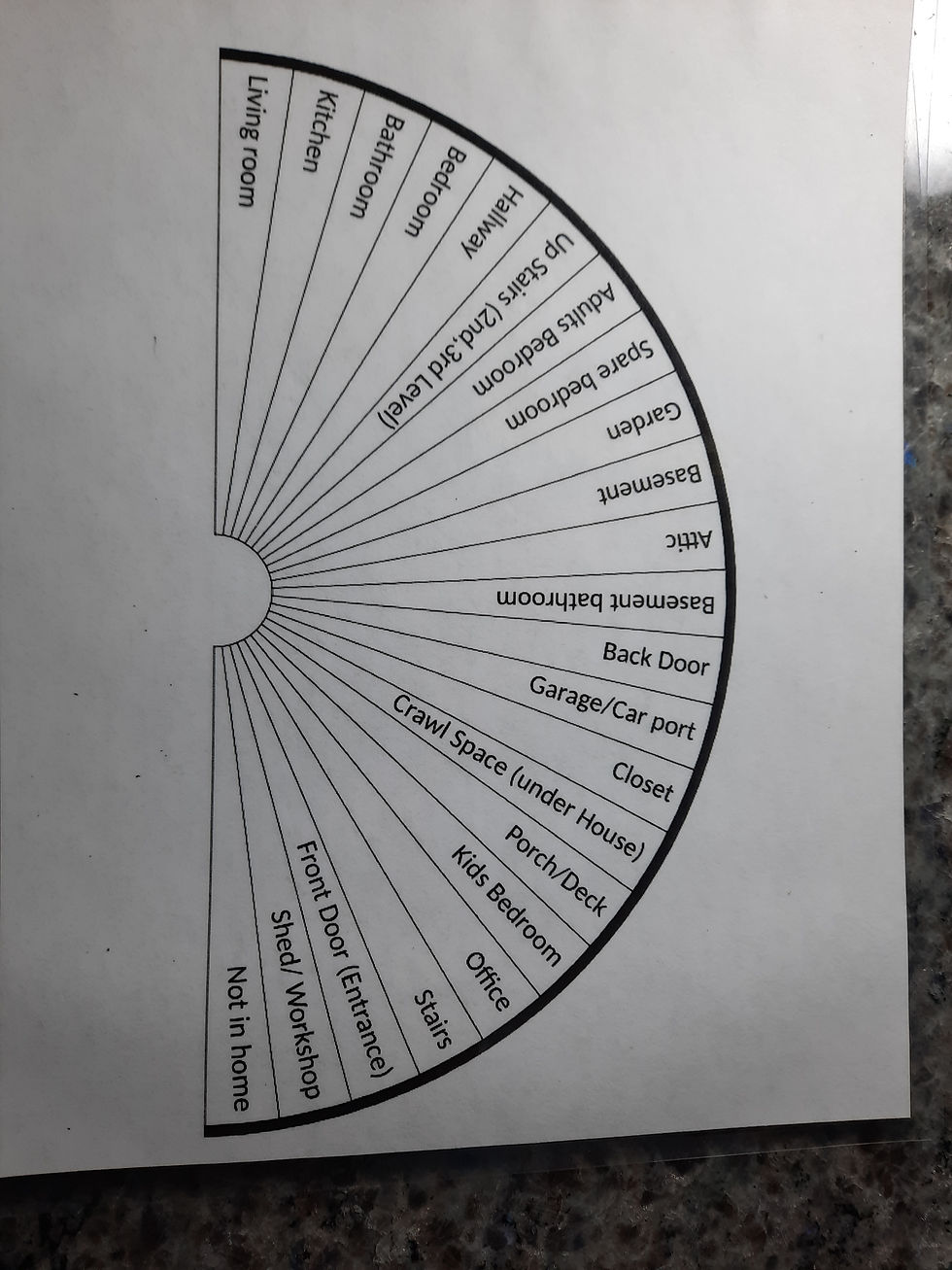 Books | Pendulum Apometrics