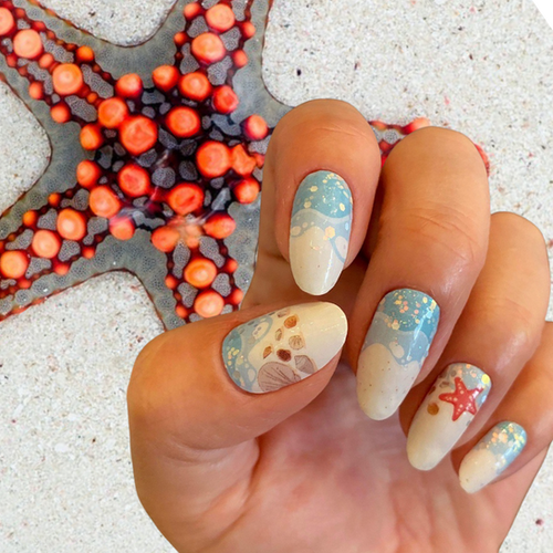Shelly Sells Seashells by the Seashore | Color Crush Nails