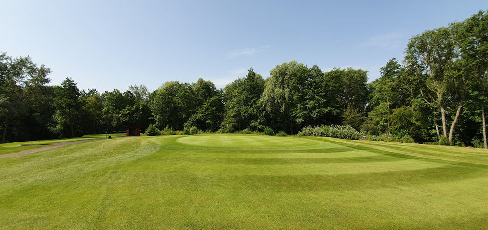 Trees on the Golf Course | Pitch Care