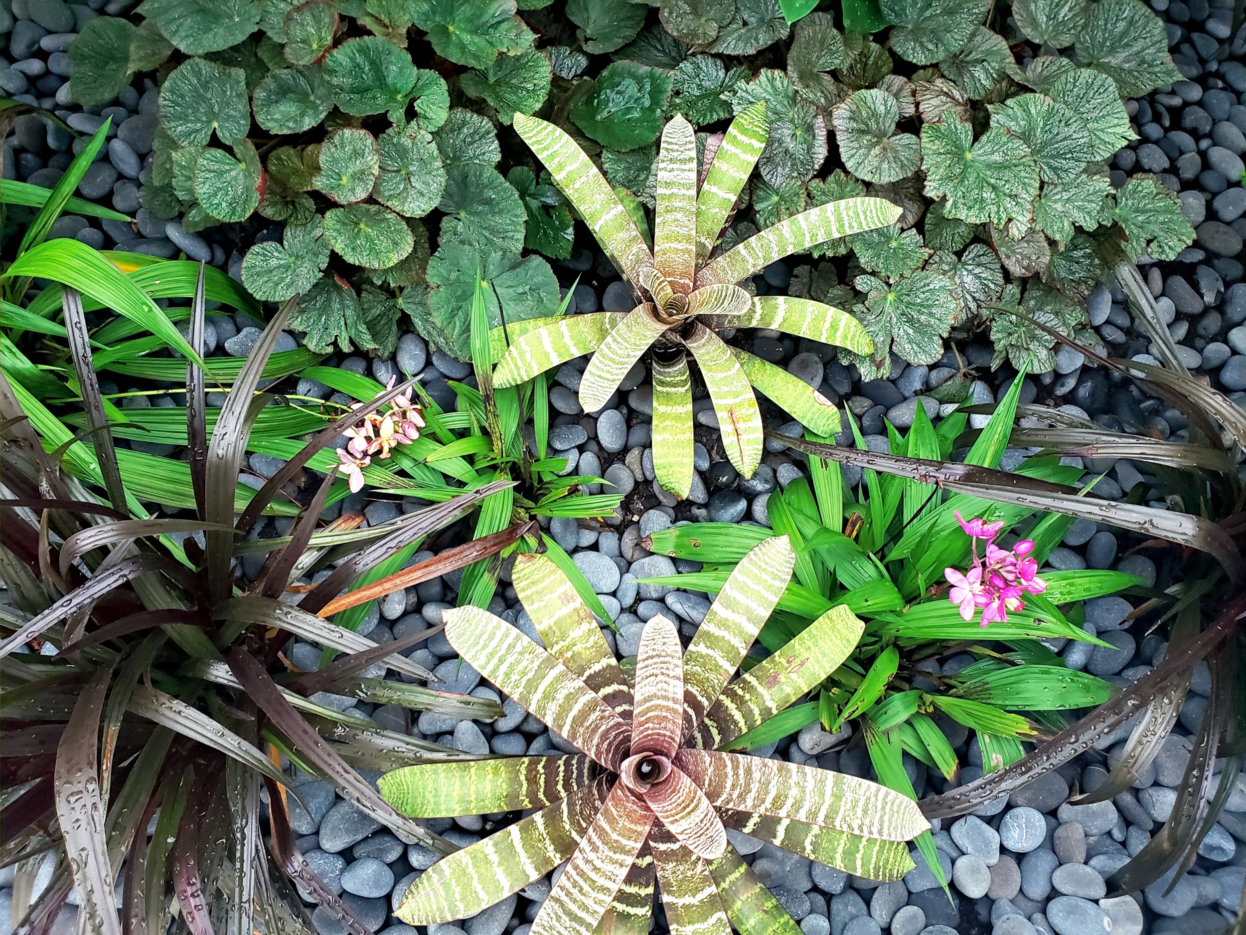 Texture Gardens | Artful Exteriors