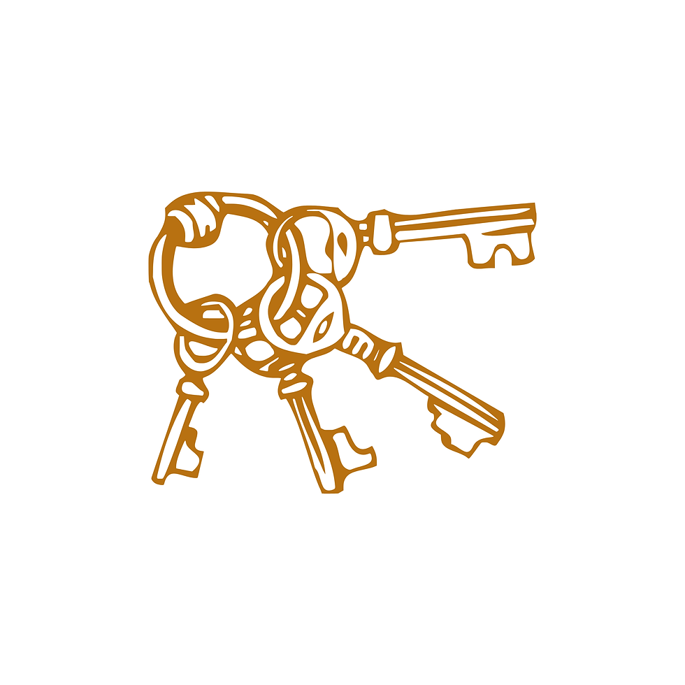 Direct Ship | Timelesstrove