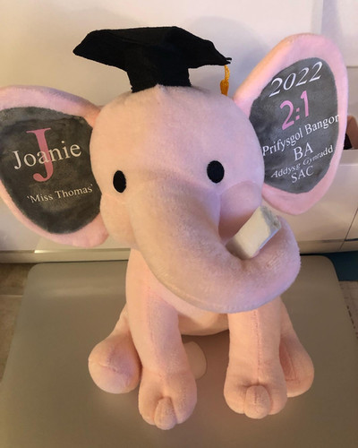 Graduation Plush Elephant | Anrheg Lulu