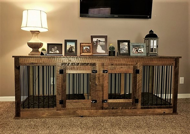 GALLERY | copperstatekennels