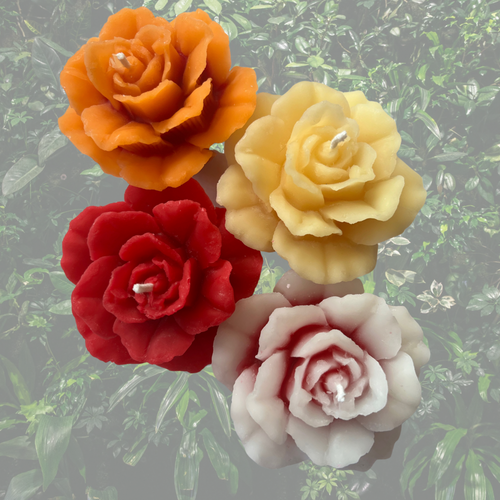 Romantic Rose | Rushing River