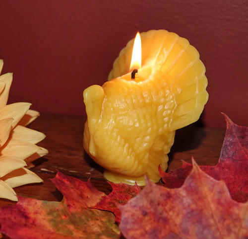 Turkey | Rushing River