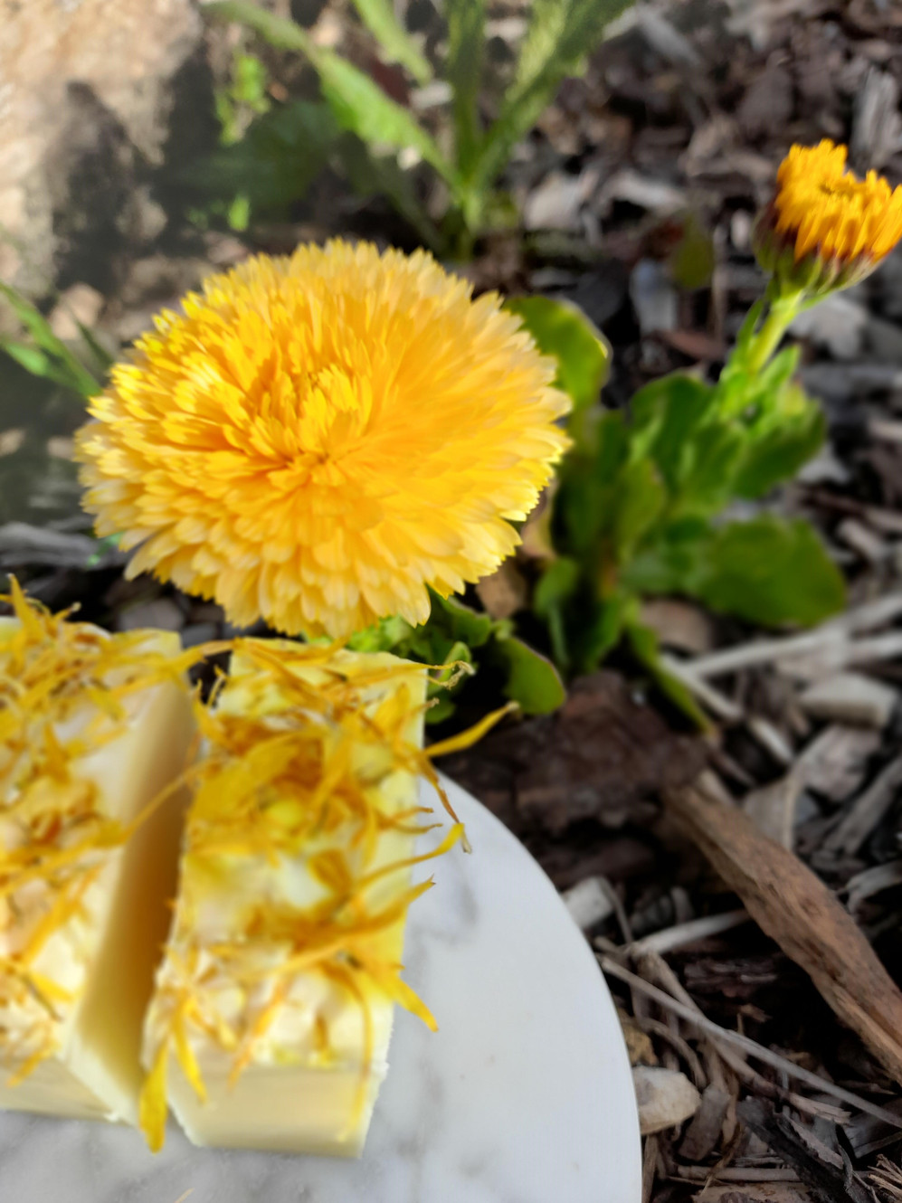 OUR INGREDIENTS | dlyte