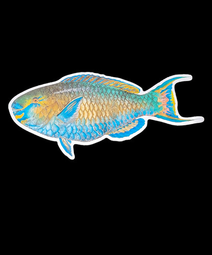 5x7 Uhu vinyl sticker | DesmondThainFineArt