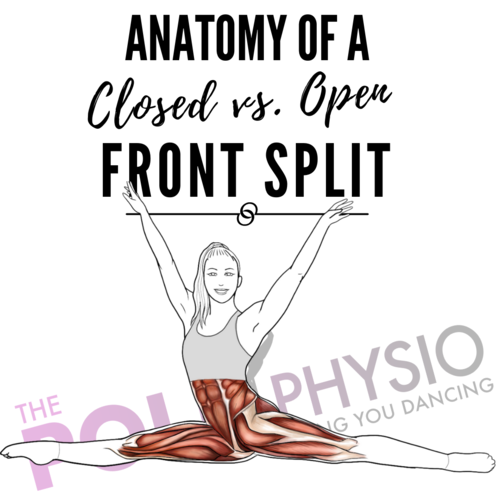 Anatomy of a Front Split