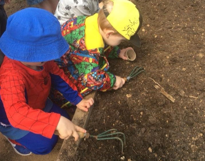 In the Garden: Learning about Planting and Growing at Pre-school